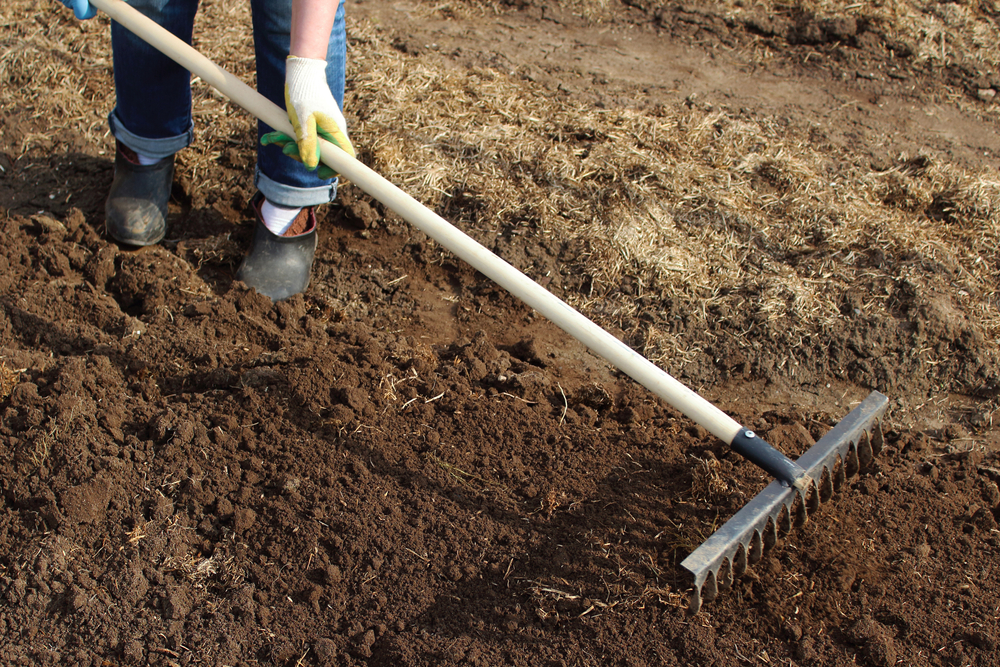 Preparing Your Soil for Planting a Hedge: A Step-by-Step Guide | Harrod Outdoors